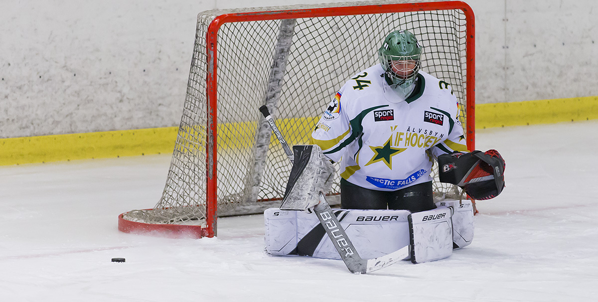 Älvsbynews – Just Nu » Hockeytrean